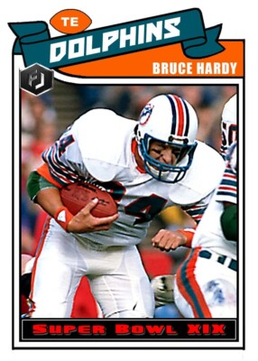 ACEO BRUCE HARDY MIAMI DOLPHINS CUSTOM HAND MADE ART CARD | eBay