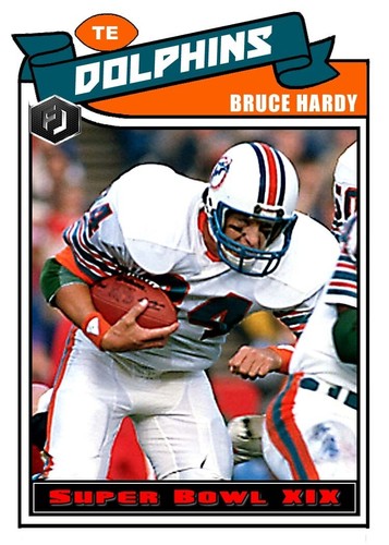 ACEO BRUCE HARDY MIAMI DOLPHINS CUSTOM HAND MADE ART CARD | eBay