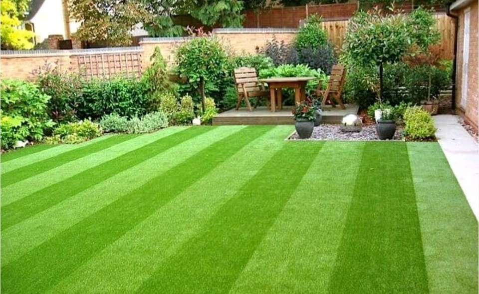 🔥2 Lbs Zip Bag 21-7-14 Yara Turf Royale Professional lawn Fertilizer | eBay