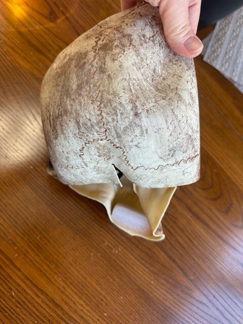 Skeleton Skull Mask Killer Mask Skeleton Head Moveable Mouth Halloween ...