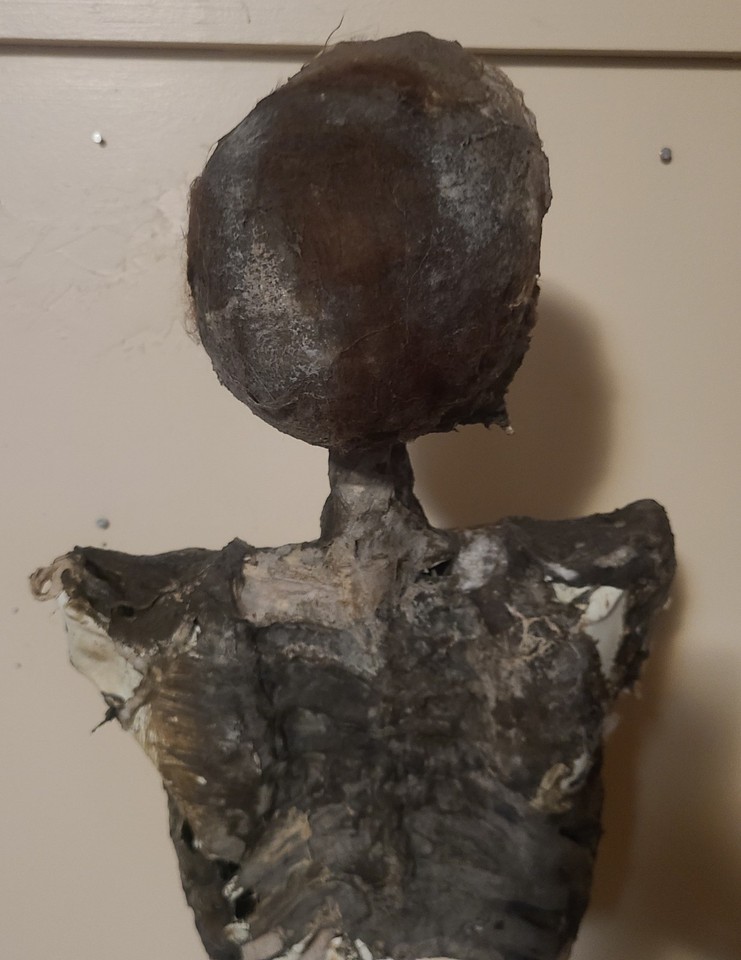 Life-Size Rotted Corpse Skull & Torso - Haunted House Halloween Prop ...