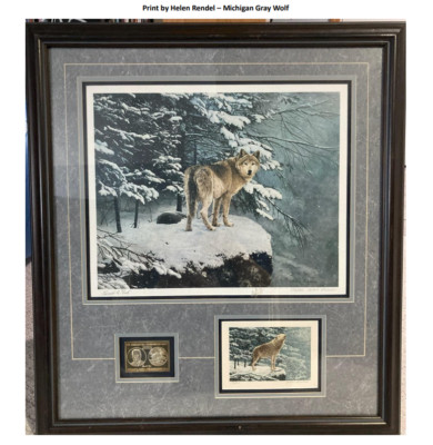 Artwork-Michigan gray wolf-Helen Rendell | eBay