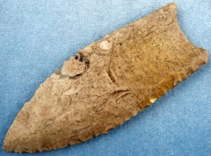 Blueskyartifactauctions | eBay Stores