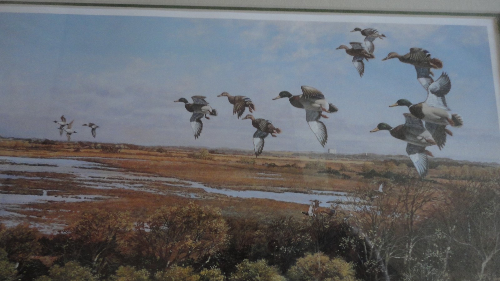 Jamestown rediscovered by Harold Roe, Ducks Unlimited 1993 Artist Of ...