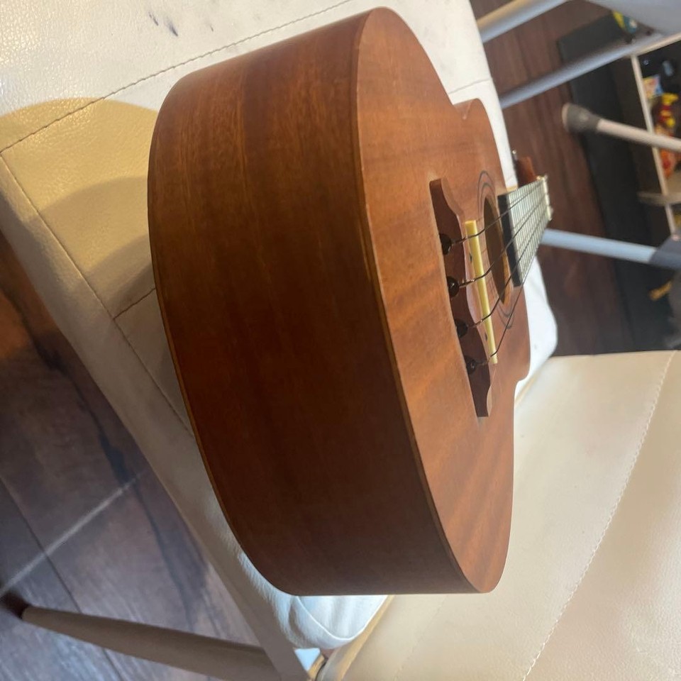 (SAMICH) Greg Bennett Ukulele UK-50 Concert | eBay