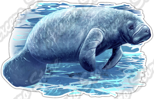 Manatee Ocean Animal Salt Water Wildlife Car Bumper Vinyl Sticker Decal ...
