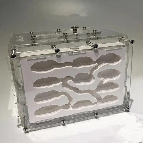 Ant Nest Acrylic Mini Plaster Pet Insect Cages Anthill House DIY ...