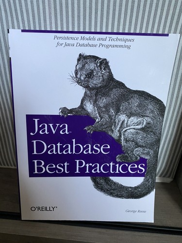 Java Database Best Practices (Paperback or Softback) | eBay
