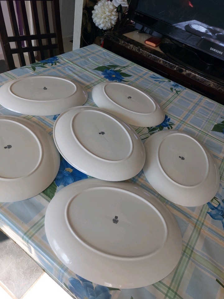 5 Pcs Steelite International Dinner Plates Platter 34x26.5cm Good ...