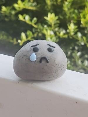Pet Rock/Sad Emoji/ Sympathy Bereavement Gift/Handmade Polymer Clay | eBay