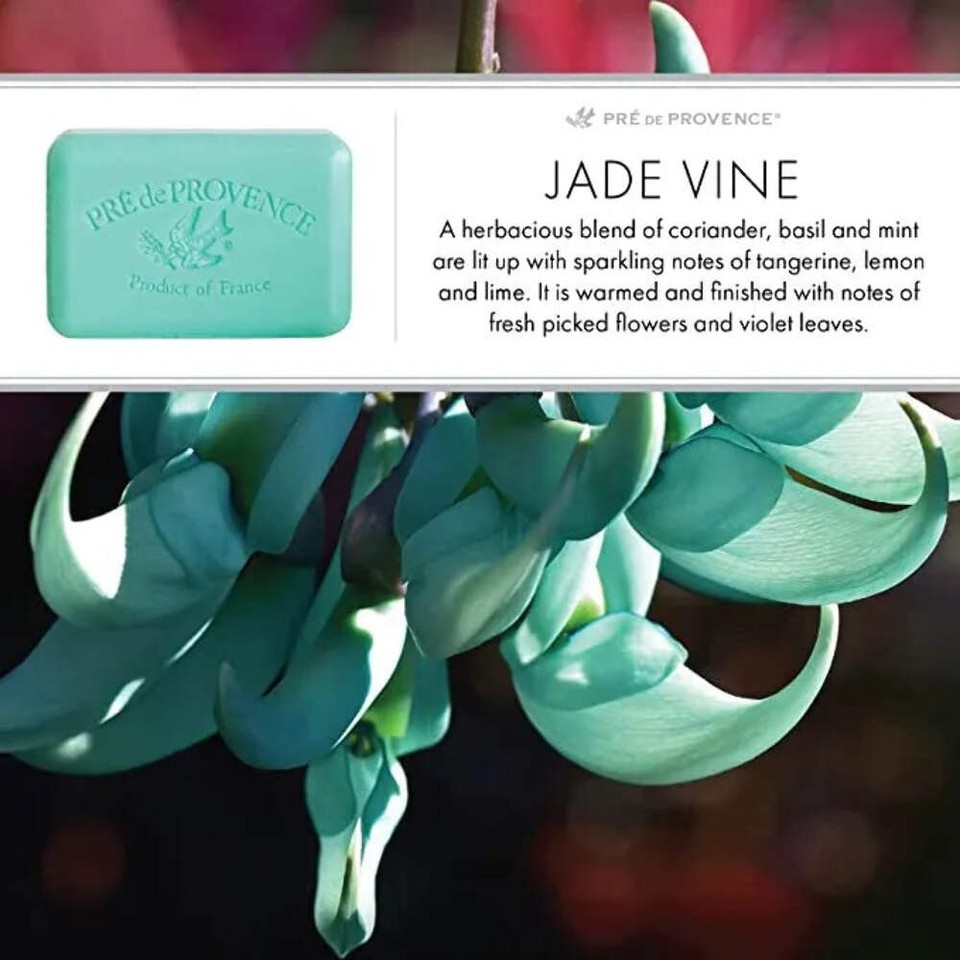 Pre De Provence jade vine Shea Enriched Vegetable Soap 250g | eBay