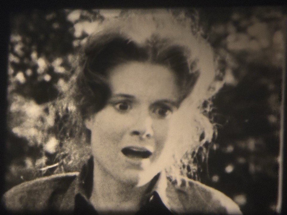 “Squirm” (1977) Super 8mm Film, Jeff Lieberman, B Horror, Man-Eating ...