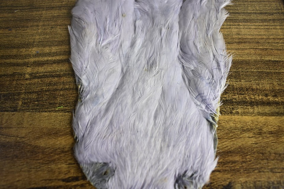 Lot 182, Dyed Gray Grey India Hen Neck Cape Feathers for Fly Tying | eBay