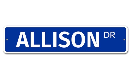 5073 SS Allison 4" x 18" Novelty Street Sign Aluminum | eBay