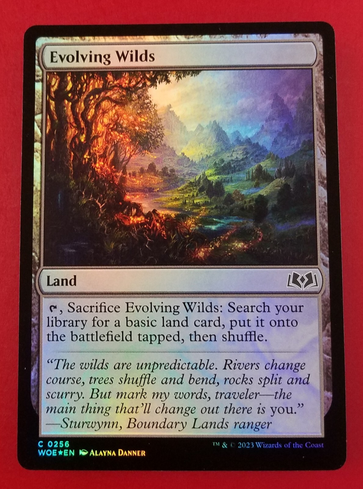 1x Evolving Wilds | FOIL | Wilds of Eldraine | MTG Magic Cards | eBay