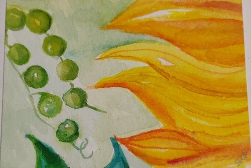 ACEO Succulents, String Of Pearls Watercolor Painting art Sharon Foster ...