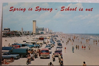 Florida FL Daytona Beach Spring is Sprung Postcard Old Vintage Card ...