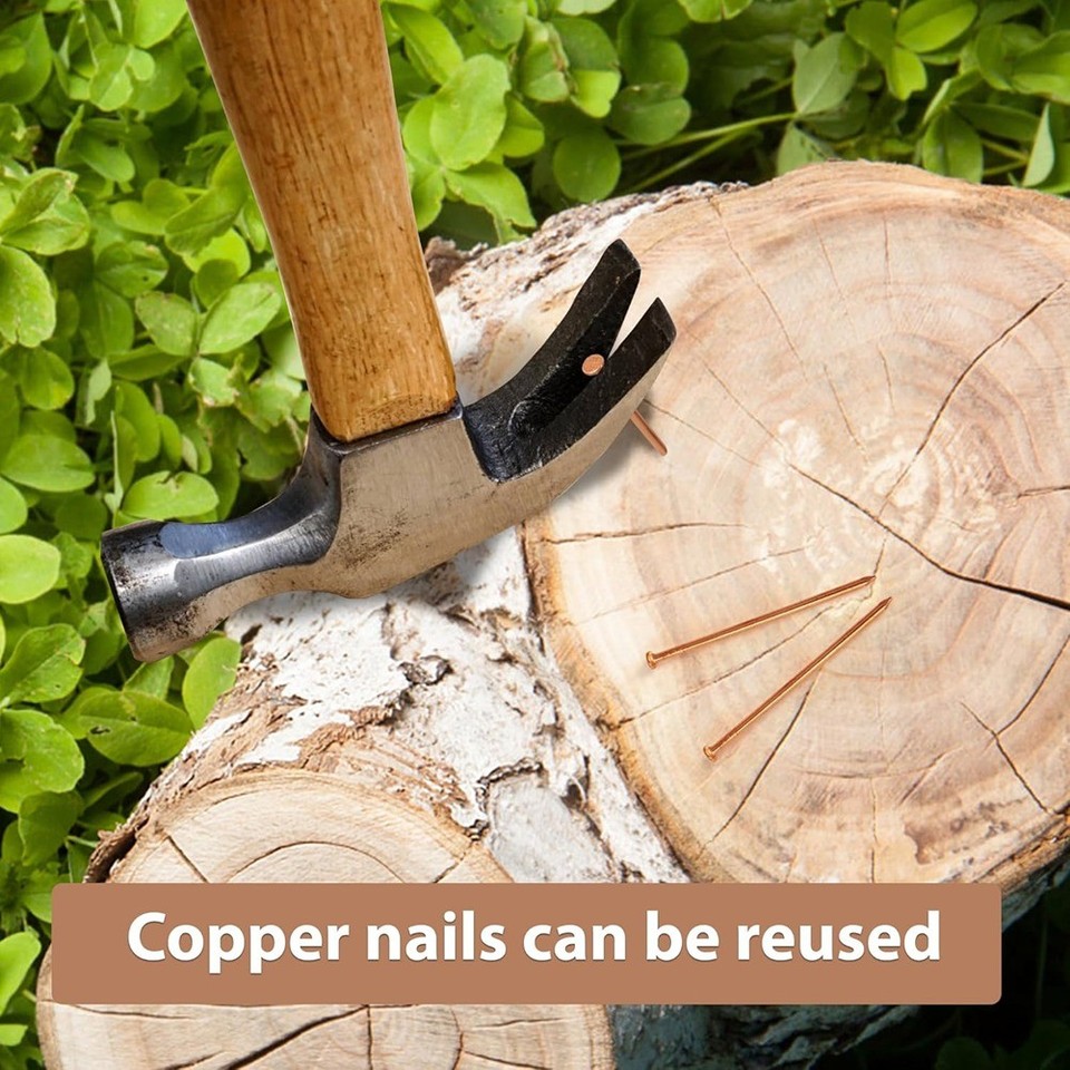 10Pcs Copper Nails for Killing Trees Hardware Nails for Trees with 1 ...