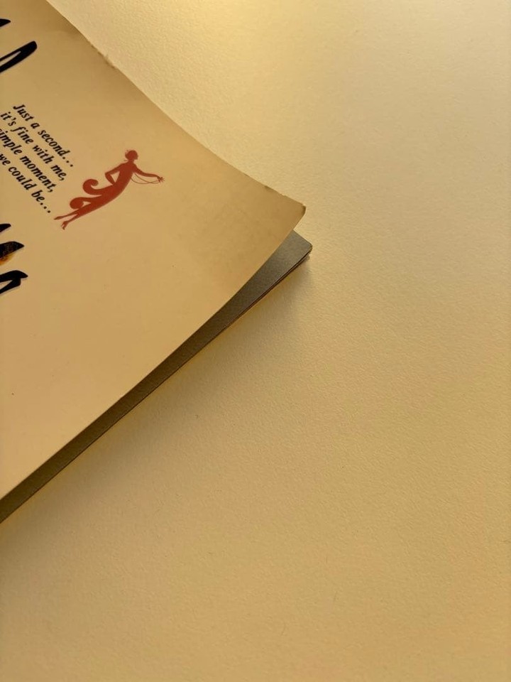 Miho Nakayama Concert Pamphlet Miho Catch '88 Summer | eBay