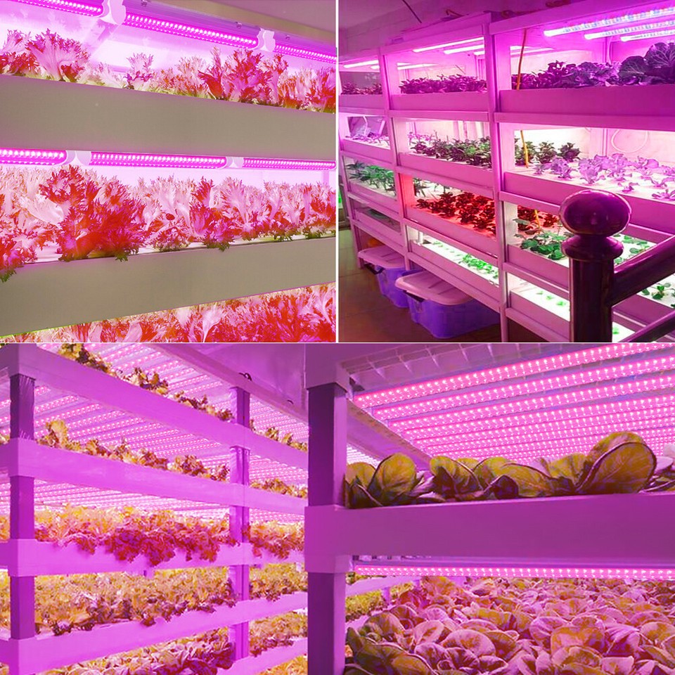 8Pcs T8 LED Grow Lights 60cm LED Plant Light Kit Full Spectrum 20W 0.6m ...