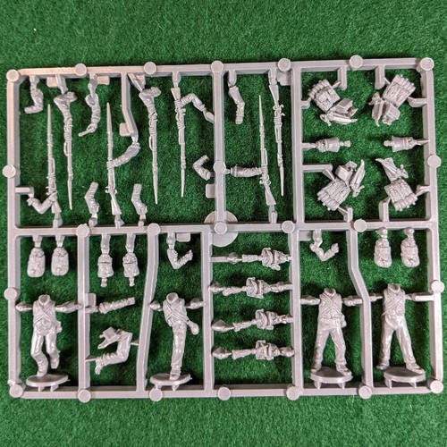 French Napoleonic Elite Company Infantry 1807-14 Sprue Perry Miniatures ...