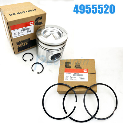 Piston Rings Set Fits For Dodge Ram 6.7L 2007-2019 STD 4955520 4955365 ...