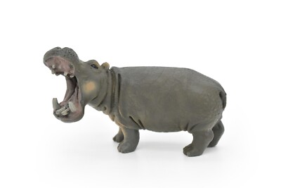 Hippo Toy, Hippopotamus, Model, Realistic Rubber Reproduction, Figurine ...