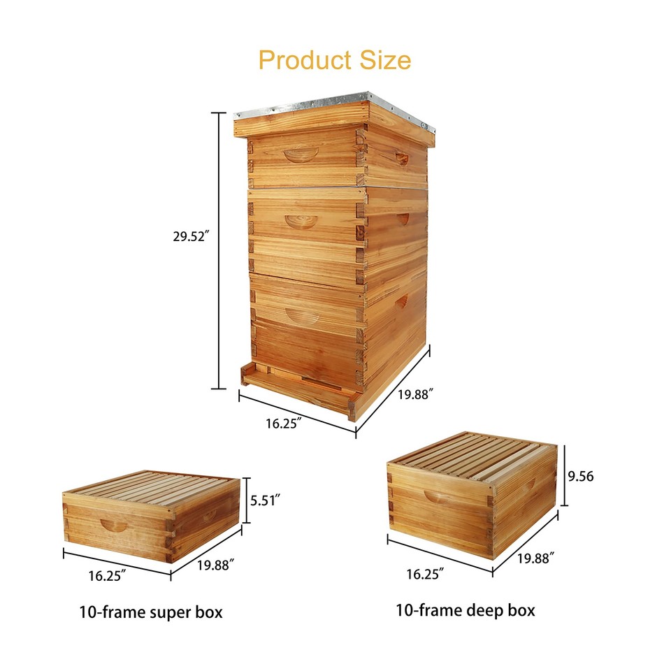 10-Frame Langstroth Bee Hive Complete Bee Hive Kit Beeswax Coated ...