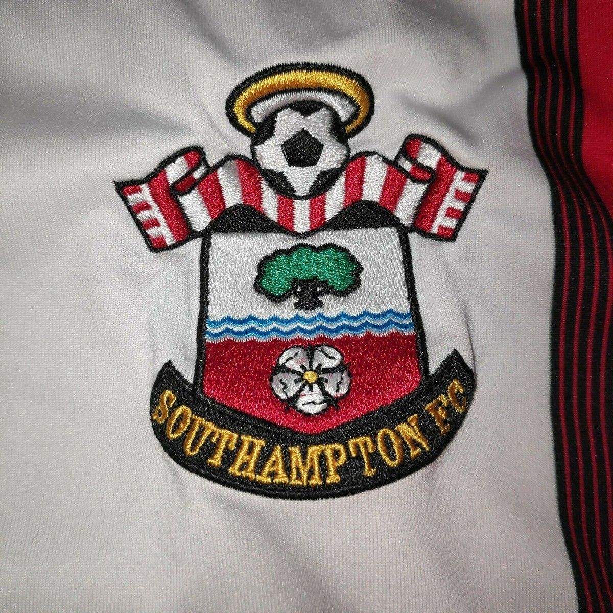 Southampton Logo New First Team Manager Appointed | Southampton FC