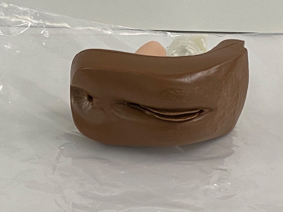 LAERDAL SIMMAN 3G PLUS FEMALE GENITALIA 212-12950 | eBay