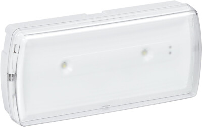 Legrand URA21 100 LED Eclairage de secours Lumen 1H IP41/IK07 661602 | eBay