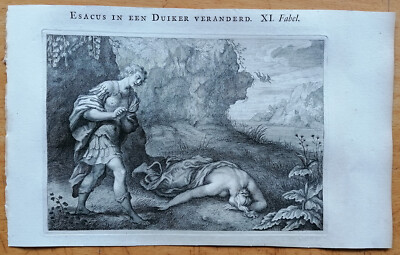 Aesacus transformed into a bird - Original Print Ovid Metamorphoses ...