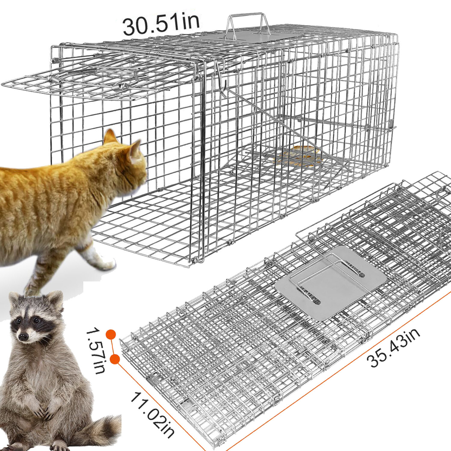 32" Collapsible Humane Live Animal Trap Control Steel Cage for Raccoon ...
