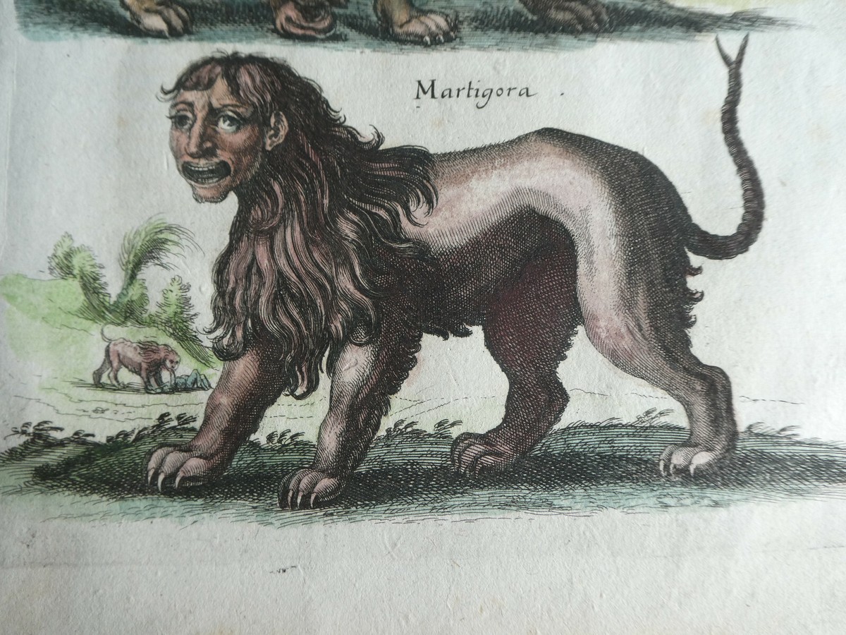 Créatúir Mythical Manticore Hope Christofferson | The Manticore A