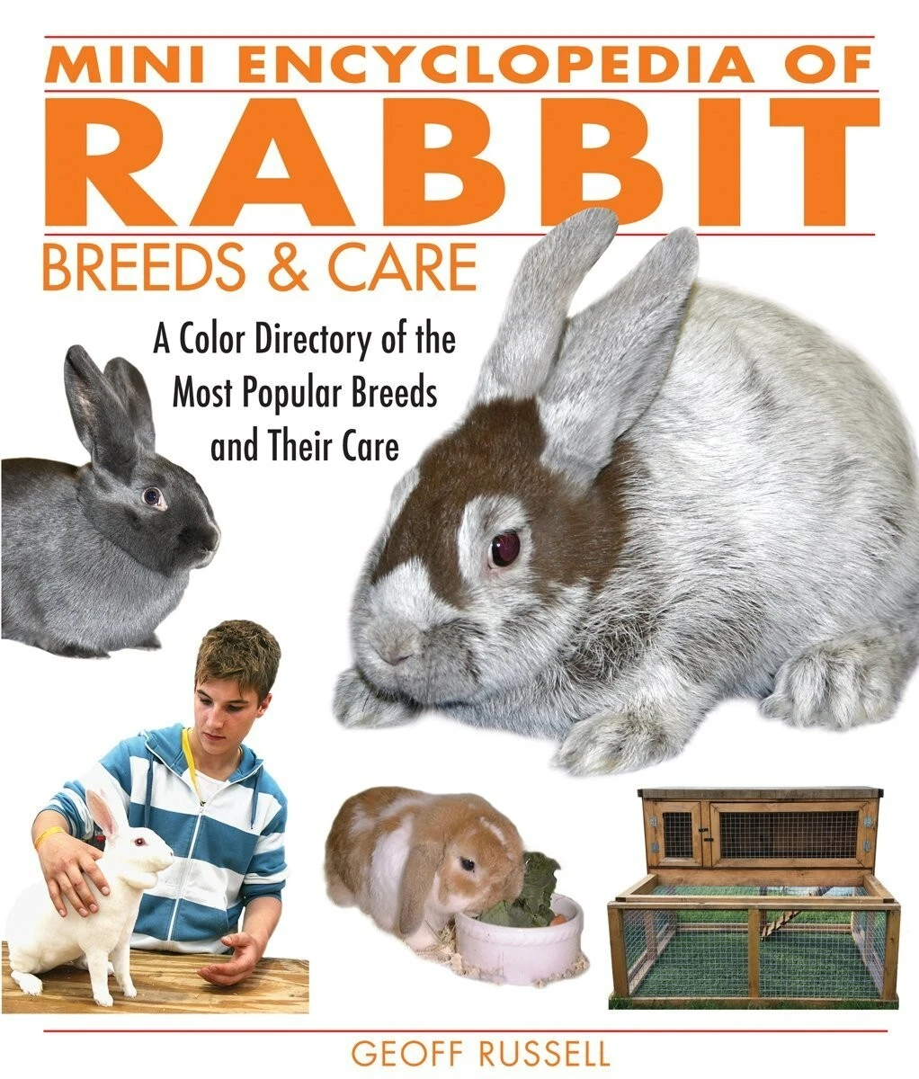 Miniature Rabbit Breeds