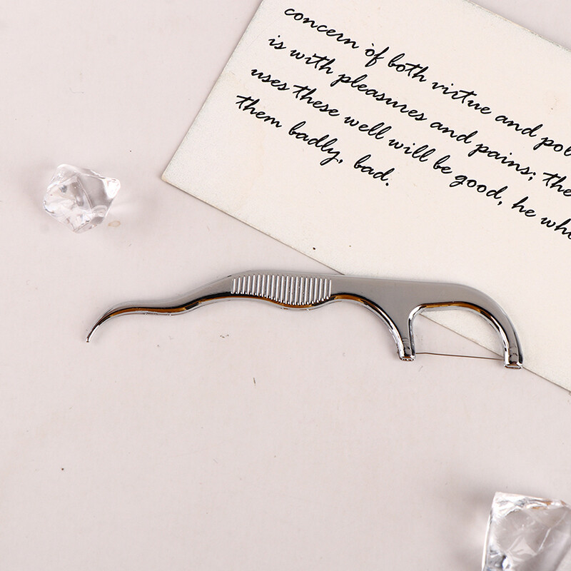 Stainless Steel Toothpick Dental Floss Reusable Flossing Holder Teeth ...