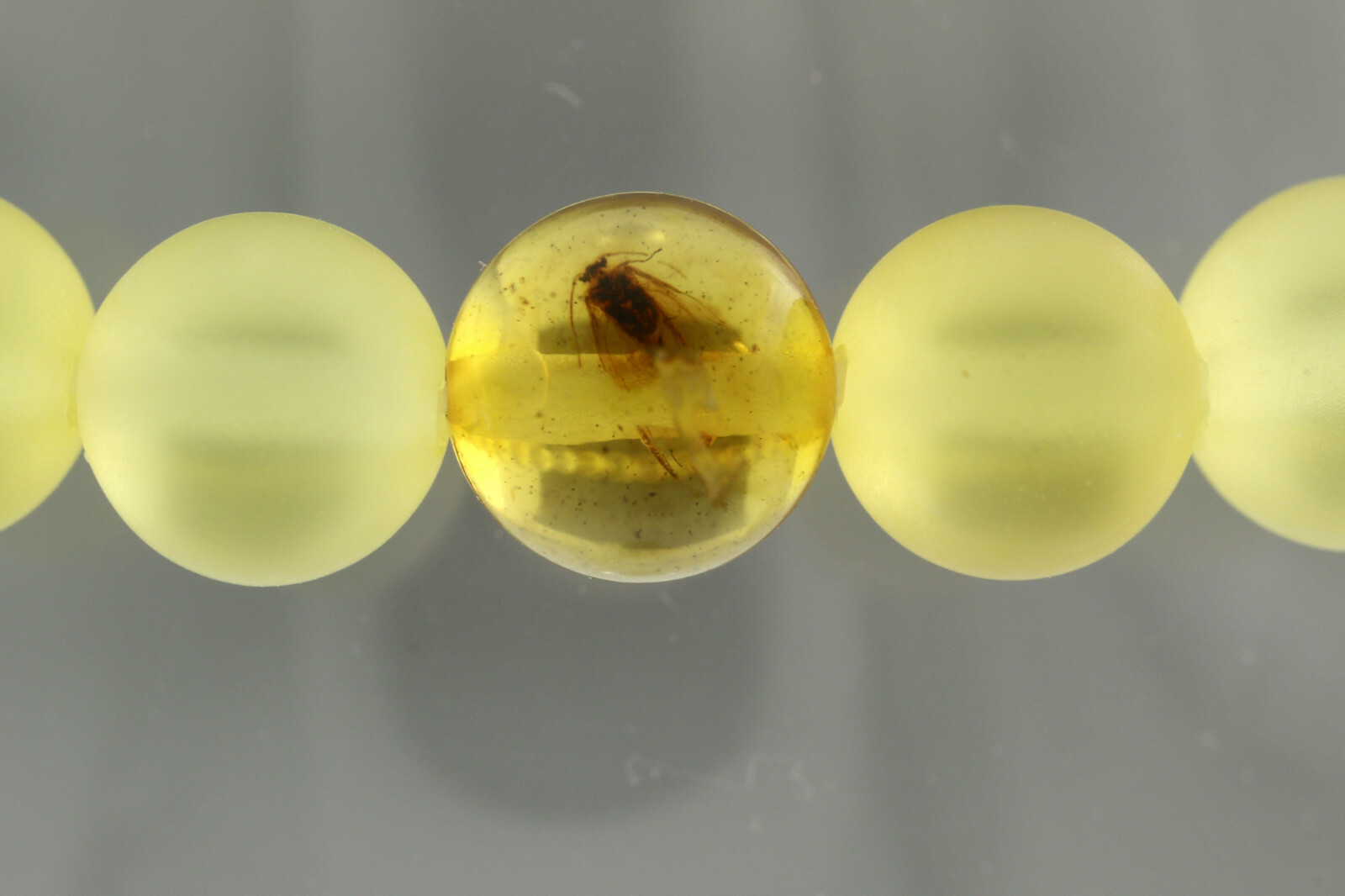 Genuine BALTIC AMBER Unpolished Opaque ROUND Beads Fossil Bracelet 6.2g ...