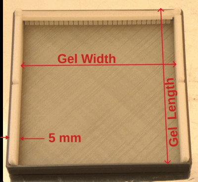 140 mm DNA Agarose Gel Comb Cast Box Horizontal Electrophoresis 12 ...