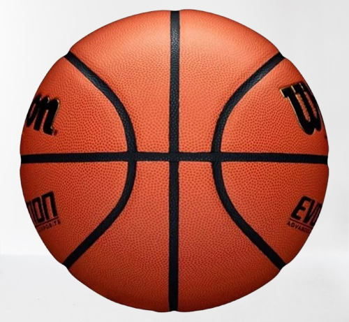 Wilson Evolution Size 7 (29.5) Basketball Replica | High Quality Ball ...