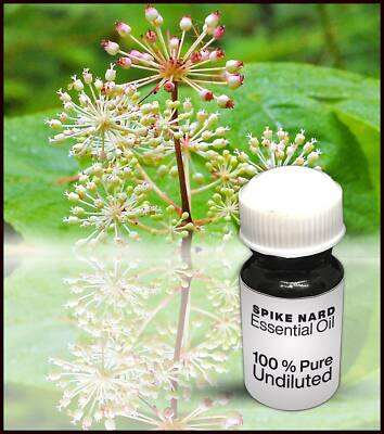Spike Nard Essential Oil 100% Pure Undiluted (10ML-500ML) | eBay