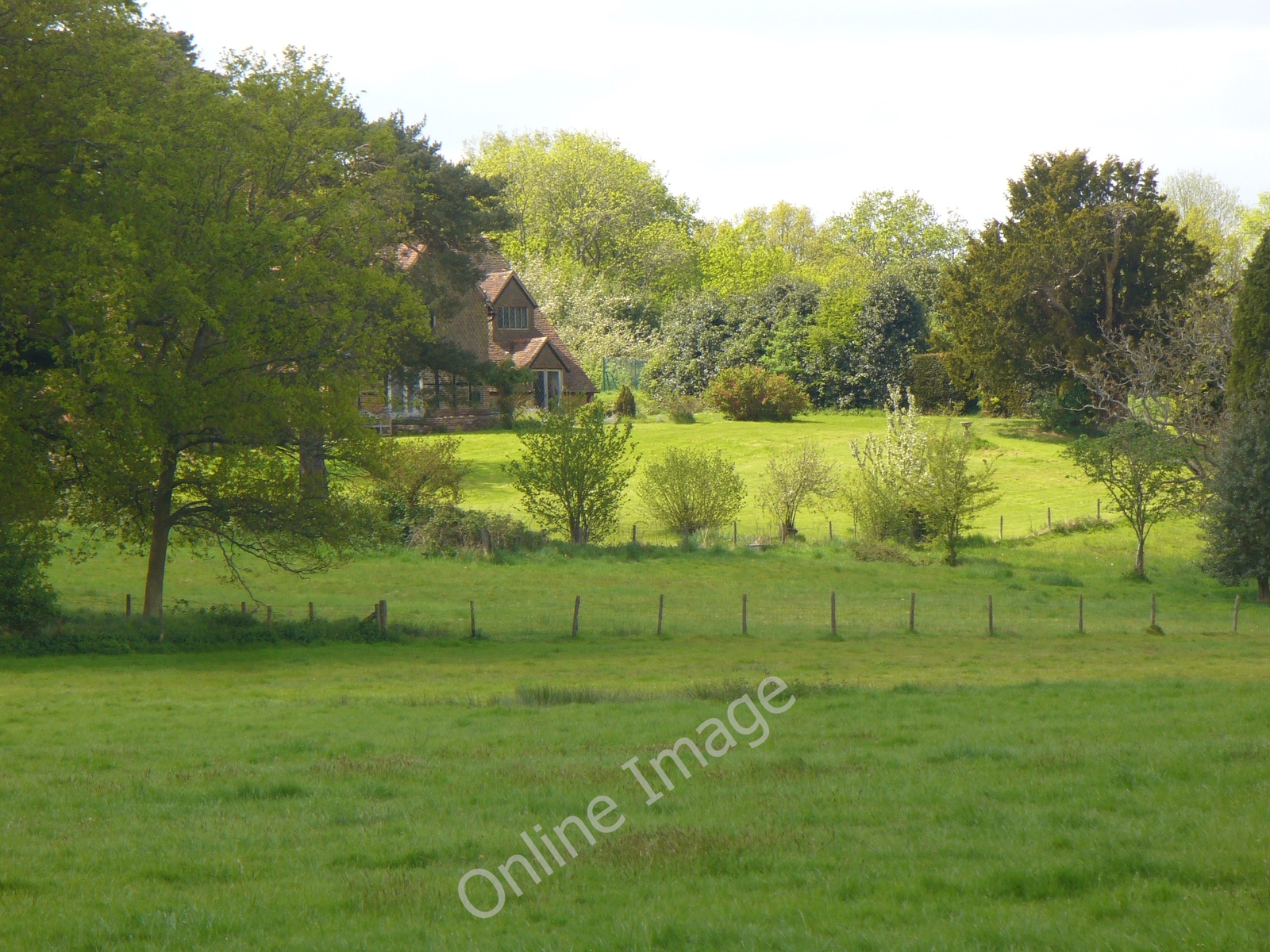Photo 12x8 New Park, Cranleigh Surrey Weald scene with grassy fields ...