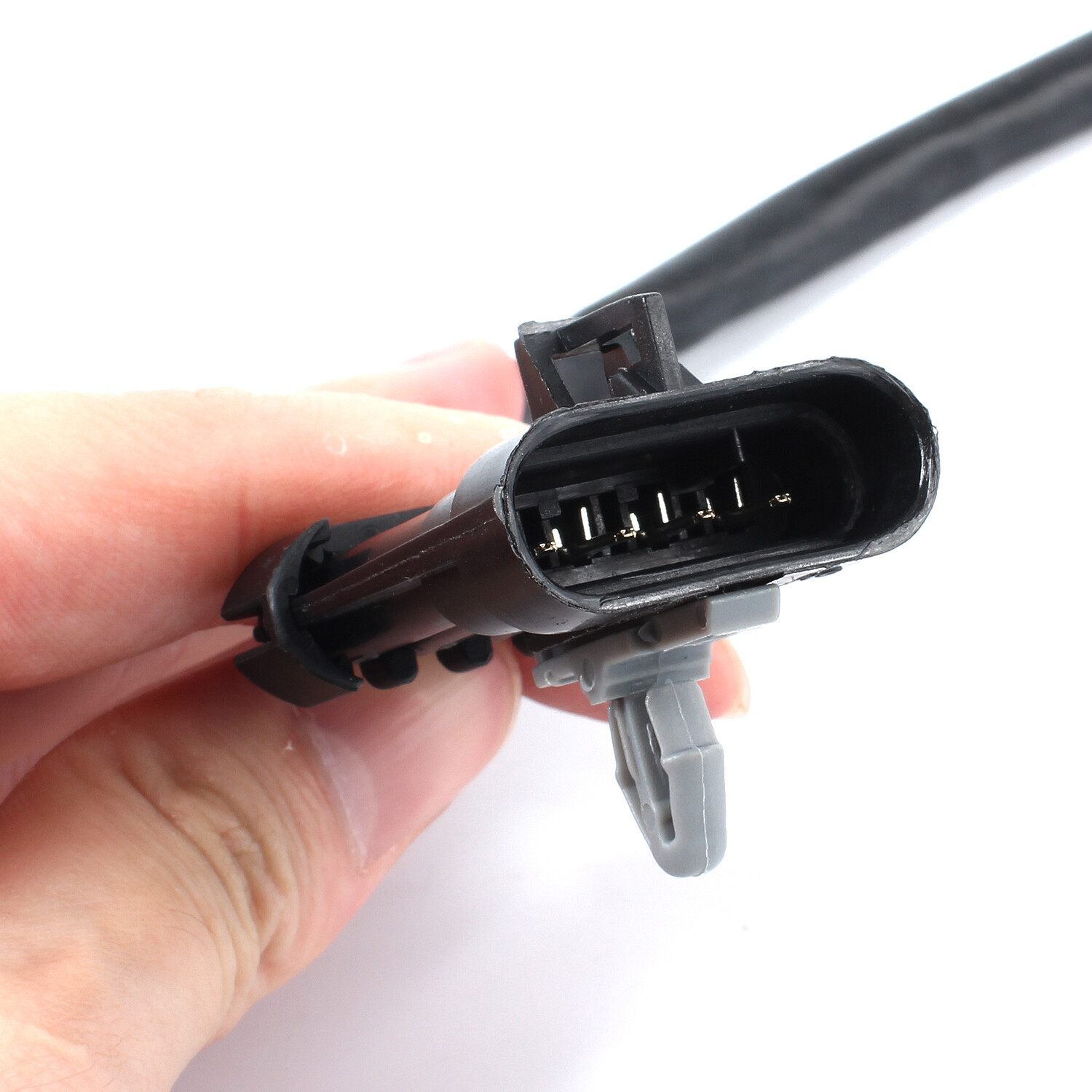 2x BOSCH OXYGEN SENSORS SUIT HOLDEN VS VT VU VX VY COMMODORE O2 V6 V8 ...