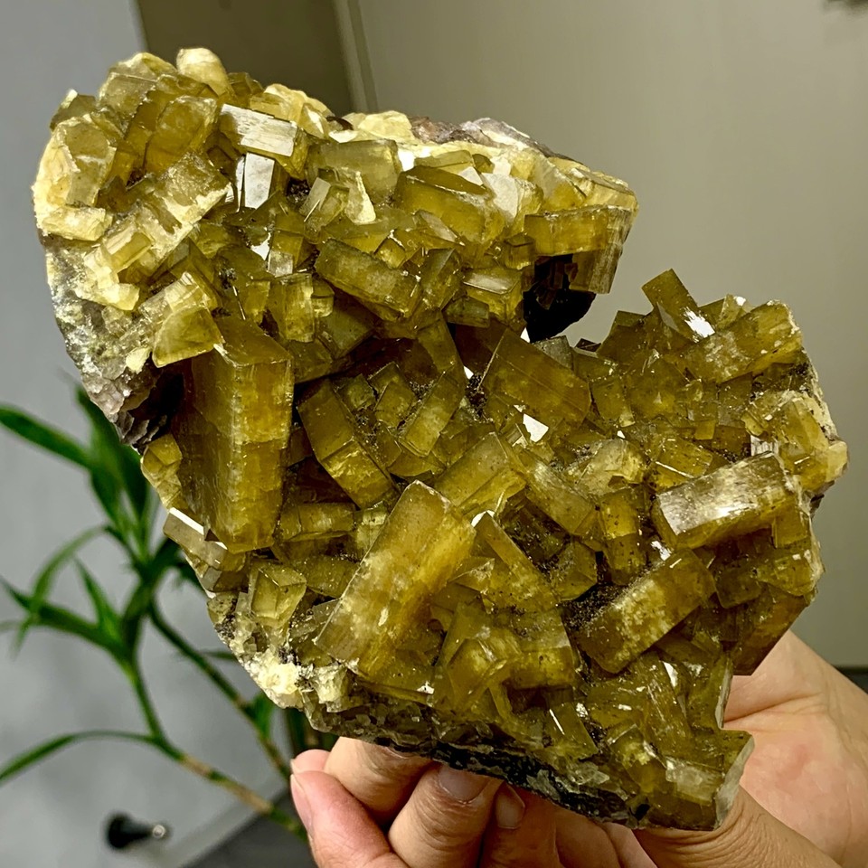 4.27LB Shiny Golden Cuboid Barite Crystal Based on the Purple Spherical ...