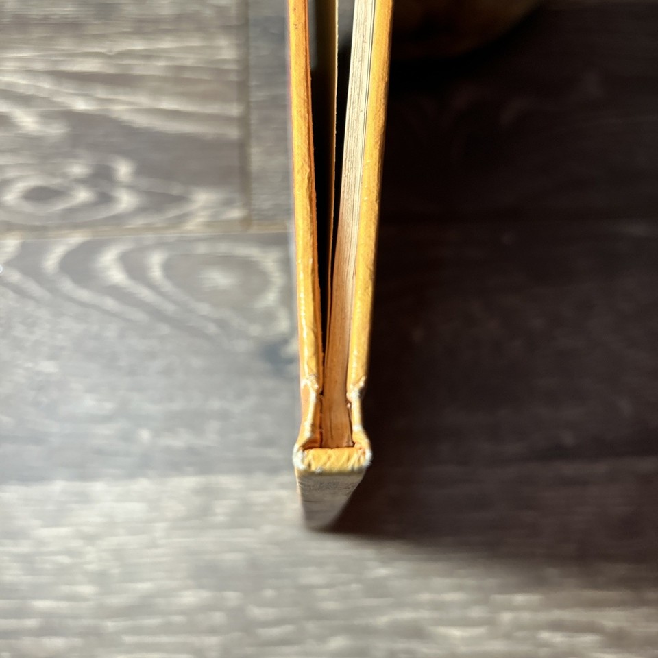 Joan Hanson Word Bks.: Homographic Homophones : Fly and Fly and Other ...