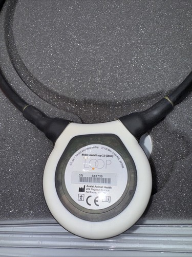 Assisi LOOP 2.0 Manual tPEMF Device for Dogs, Cats, and Horses 20cm | eBay