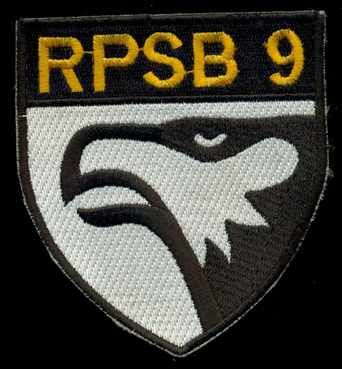 PNP Philippine National Police RPSB 9 Patch RP-4 | eBay