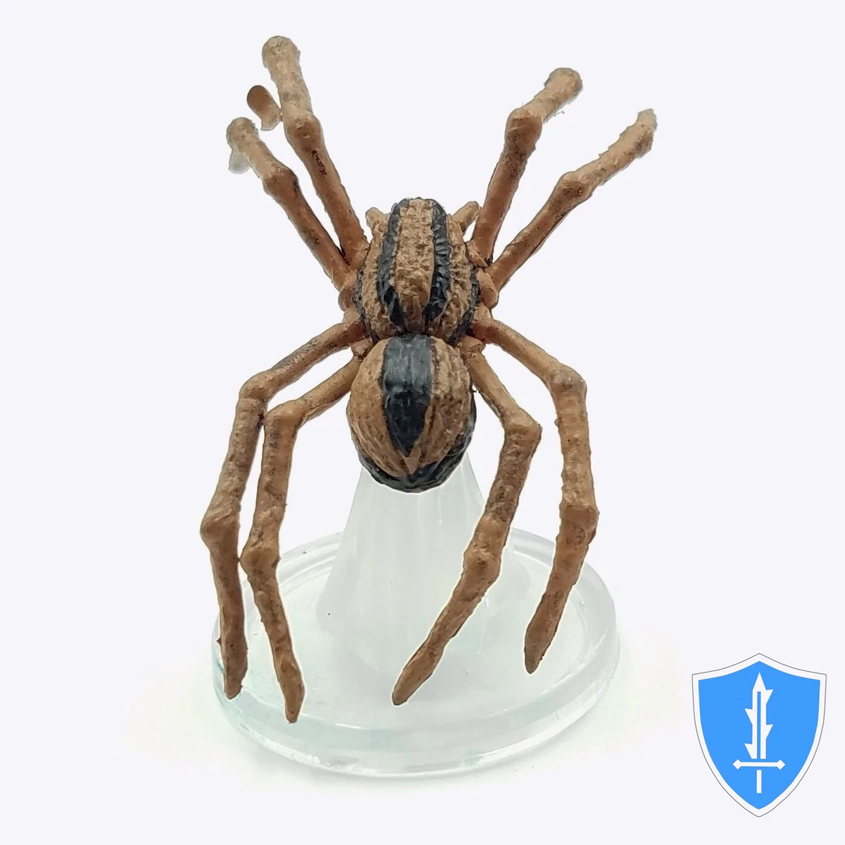 Tarantula Fangs Removed