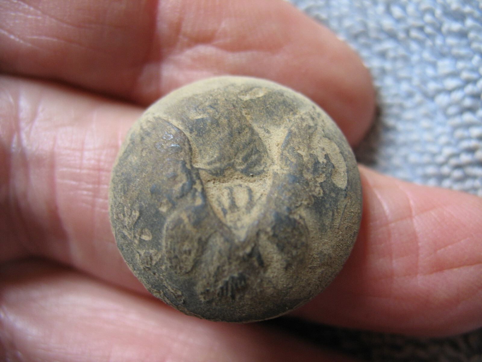 Dug Nice Eagle "D" Dragoon Coat Button From the Battle of Gaines' Mill ...