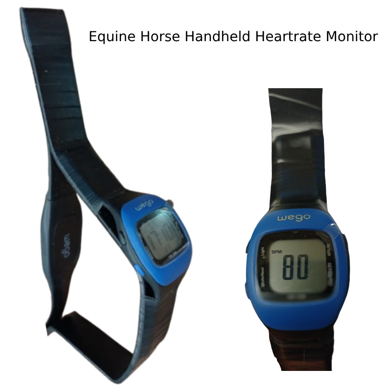 Horse Equine Heart Rate Monitor - Handheld for training and competition ...