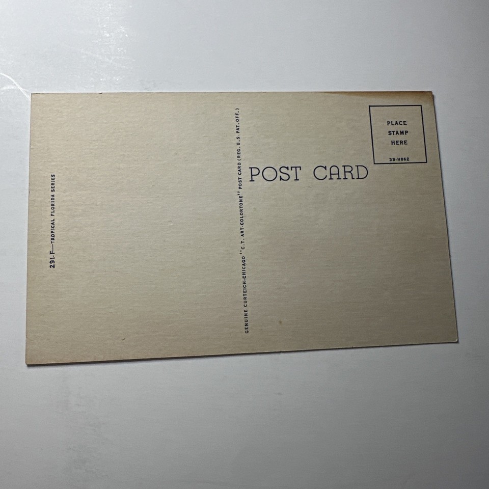 Evening Shadows in Florida Linen Vtg Postcard | eBay